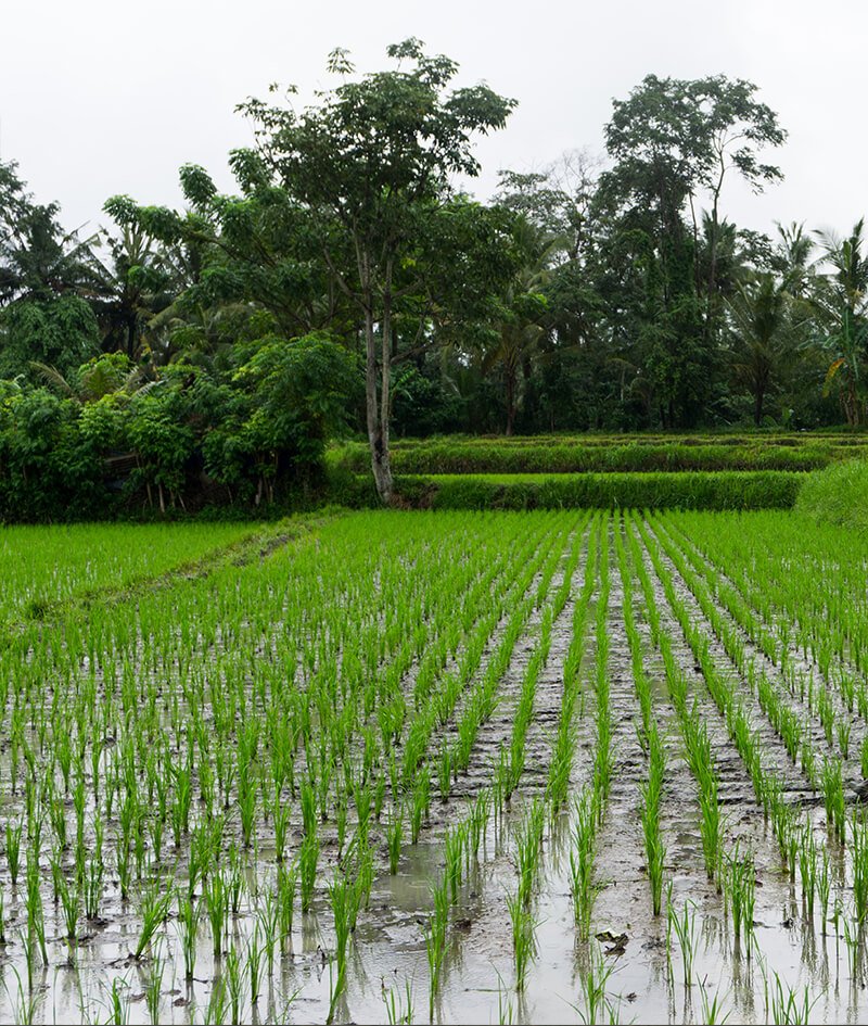 About Us | FIZON - Pump, Pipe & Cable